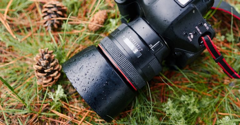 How To Get Tack Sharp Images And Say Goodbye To Blurry Photos For Good ...